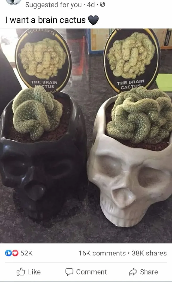 30 Bizarre And Hilarious Products Found And Owned By People