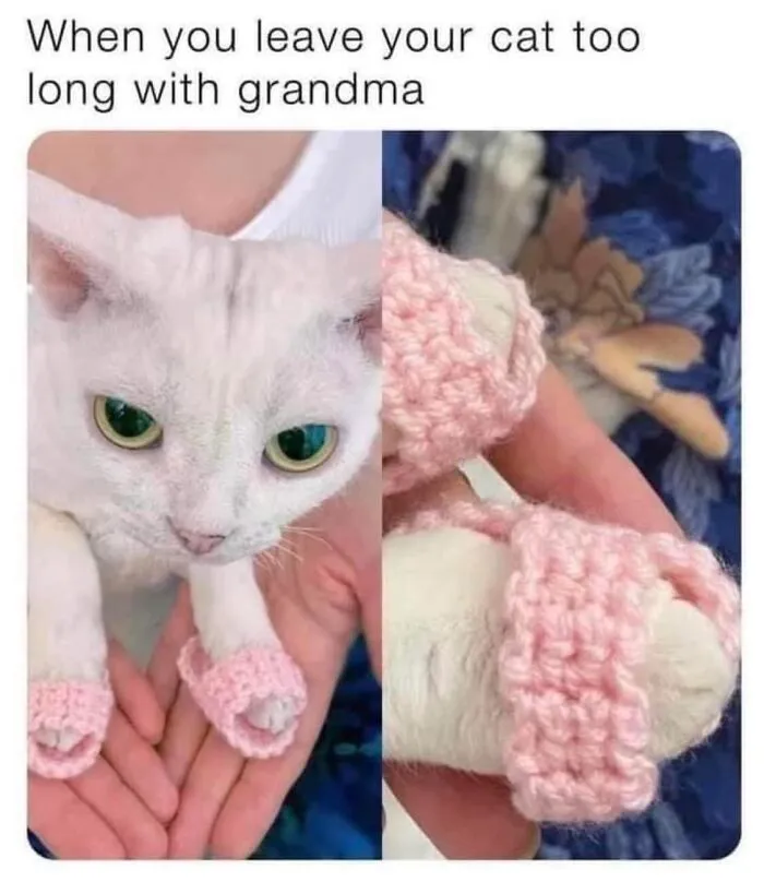 30 Bizarre And Hilarious Products Found And Owned By People