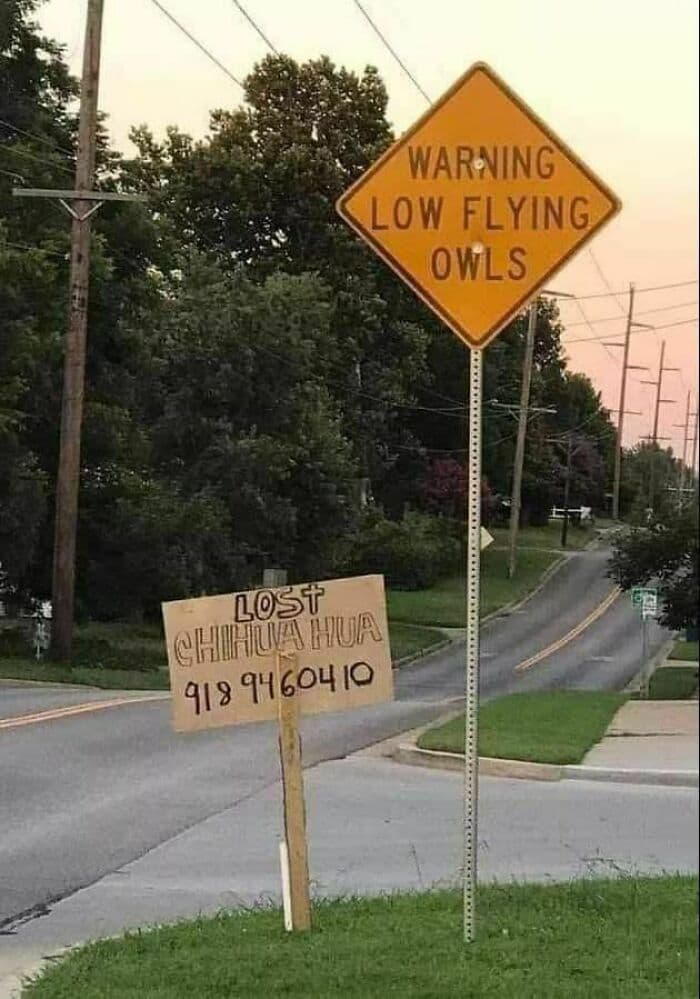 30 Whimsical Signs Pointing The Way To Happiness
