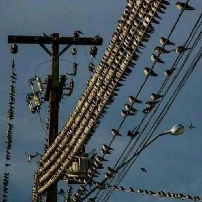 30 Bizarre Pictures That Will Leave You Stunned