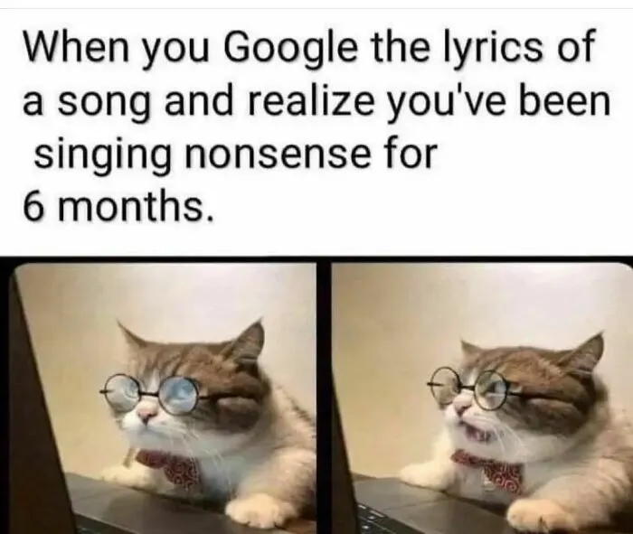 30 Insanely Funny Cat Memes For True Cat Enthusiasts