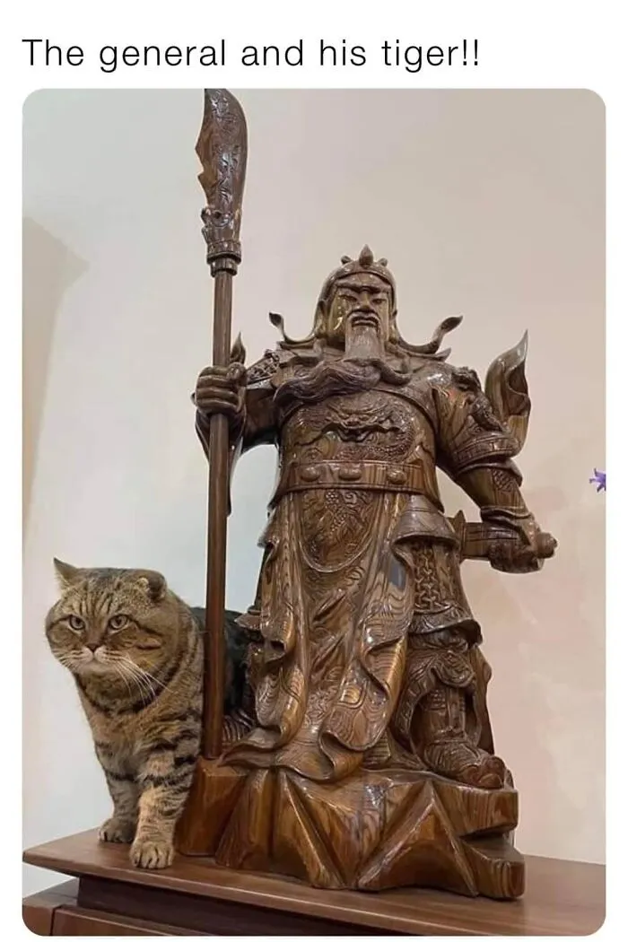 30 Hilarious Cat Posts And Memes