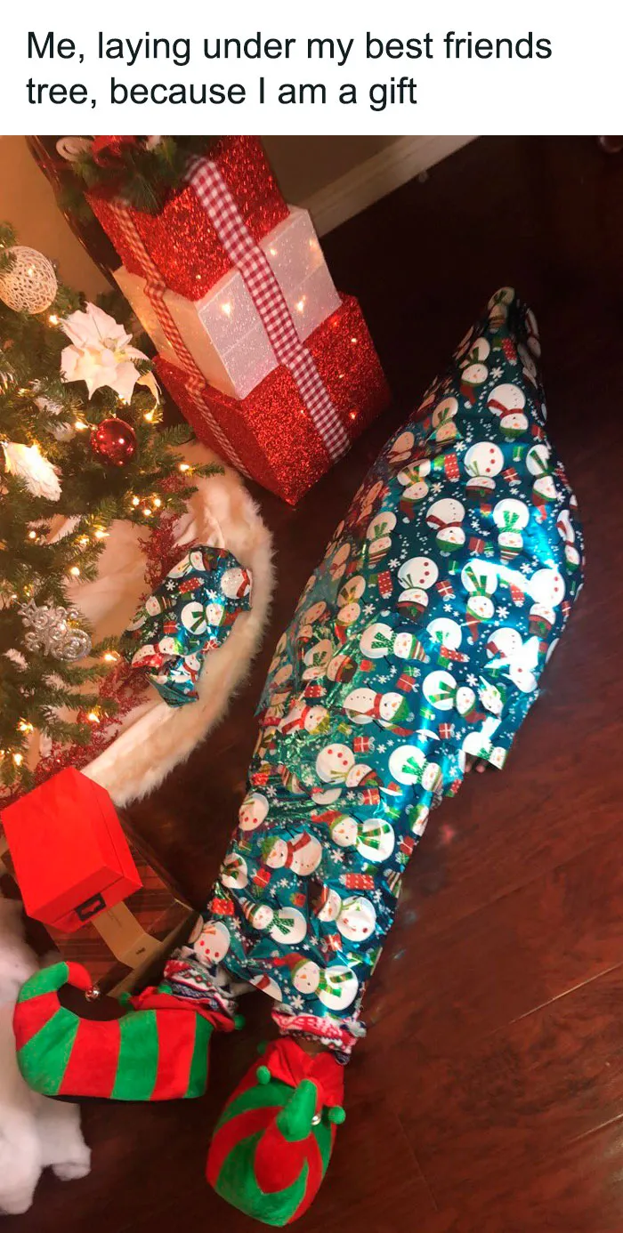 30 Relatable Memes That Describe A Friendship