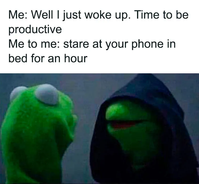 30 Funny Kermit The Frog Memes That Might Make Your Day