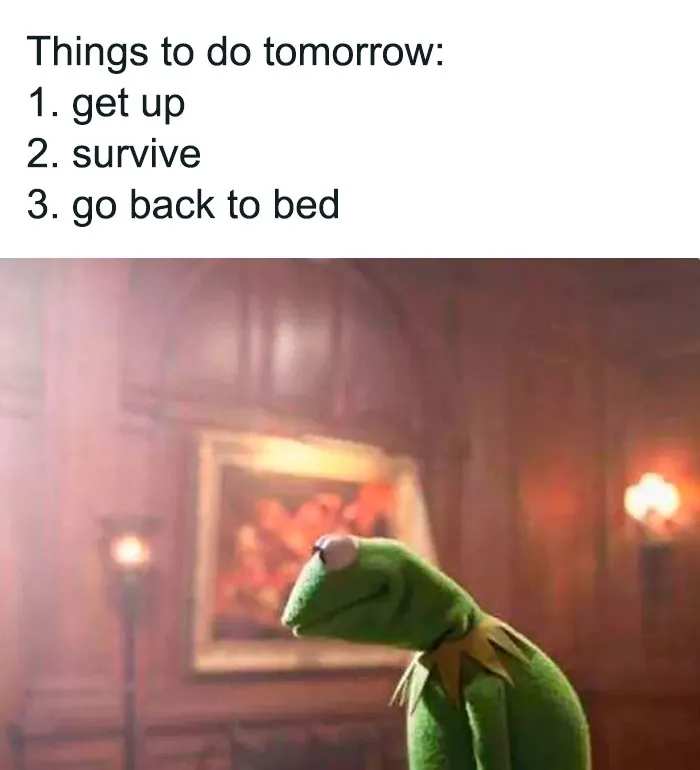 30 Funny Kermit The Frog Memes That Might Make Your Day