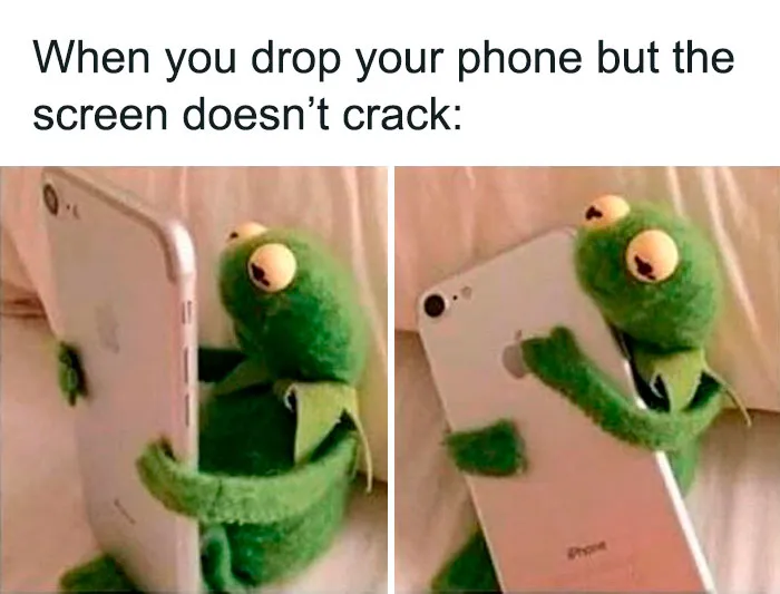 30 Funny Kermit The Frog Memes That Might Make Your Day