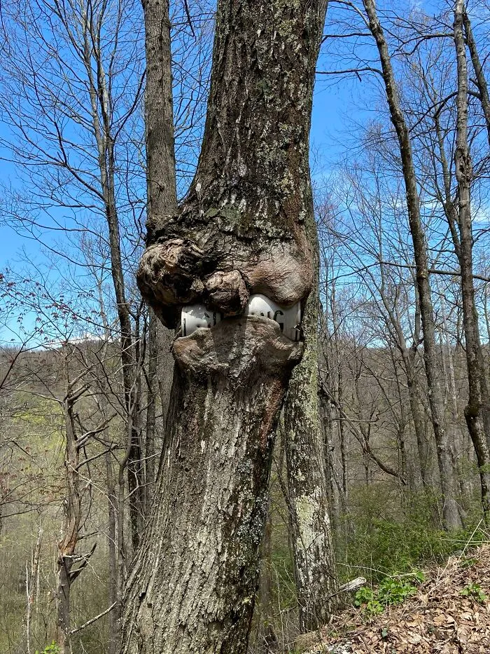 30 Epic And Captivating Images Of Weathered Objects