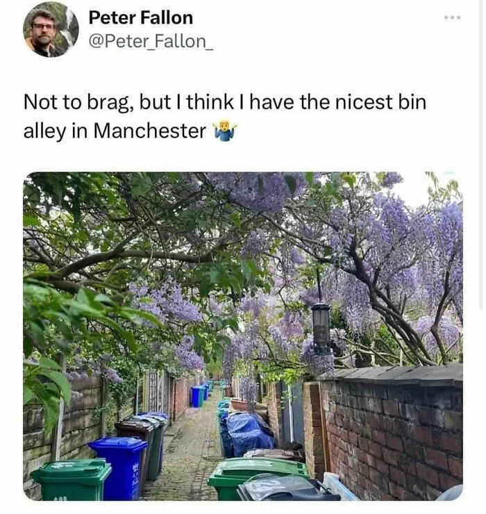 30 Funny 'British Memes'