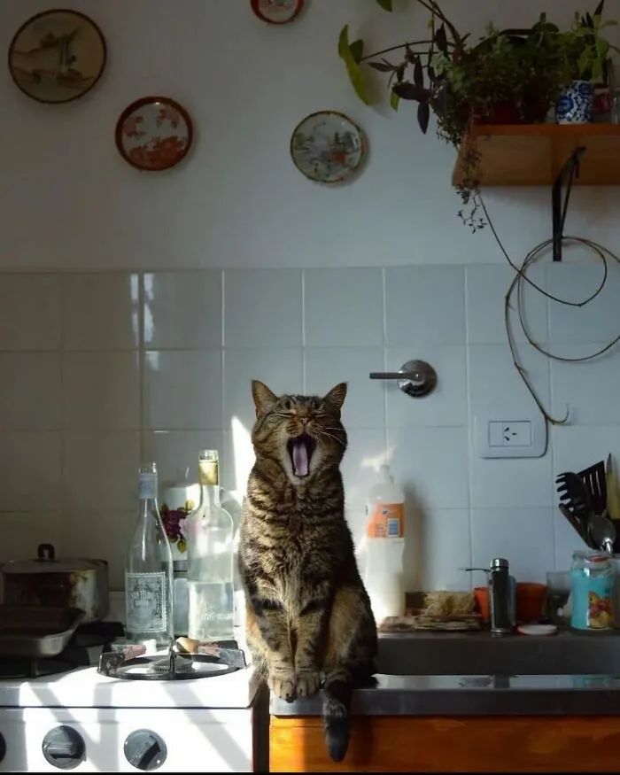 30 Intriguing Images That Will Fascinate You