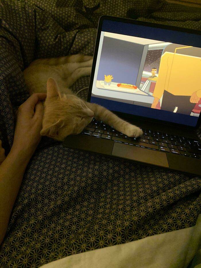 30 Of The Most Heartwarming Pics Of Happily Adopted Pets