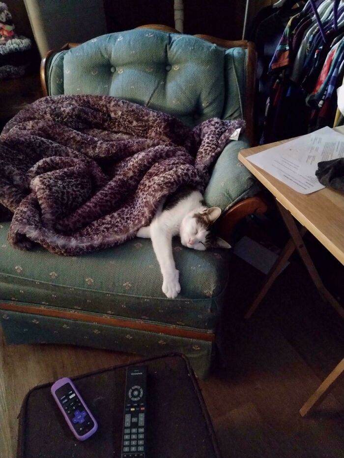 30 Of The Most Heartwarming Pics Of Happily Adopted Pets