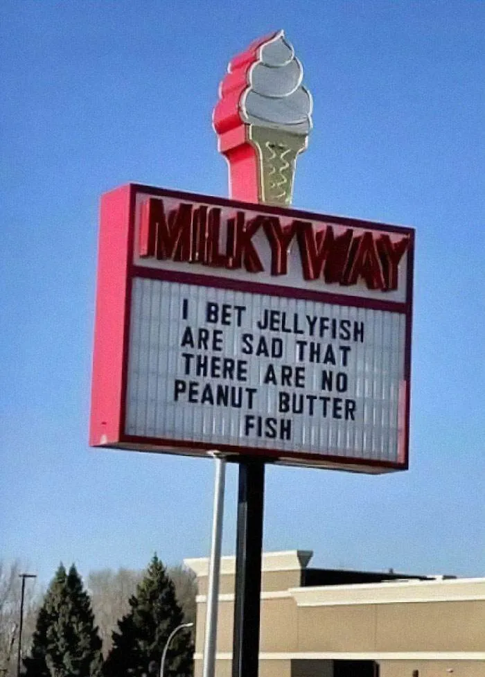 30 Spotted Signs That Are Incredibly Amusing.