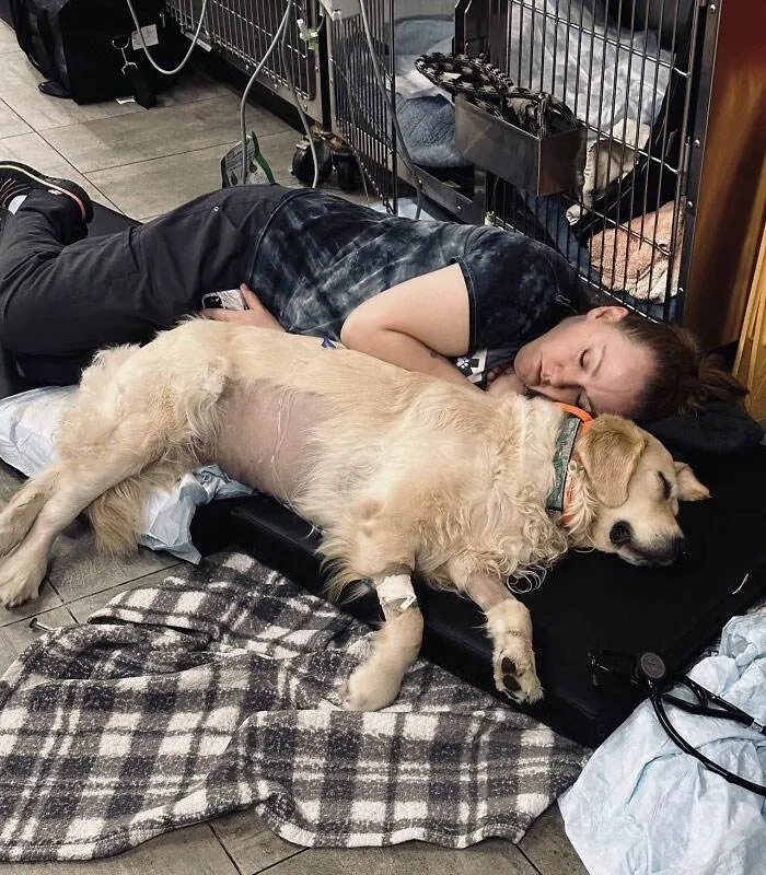 30 Heartwarming And Hilarious Moments