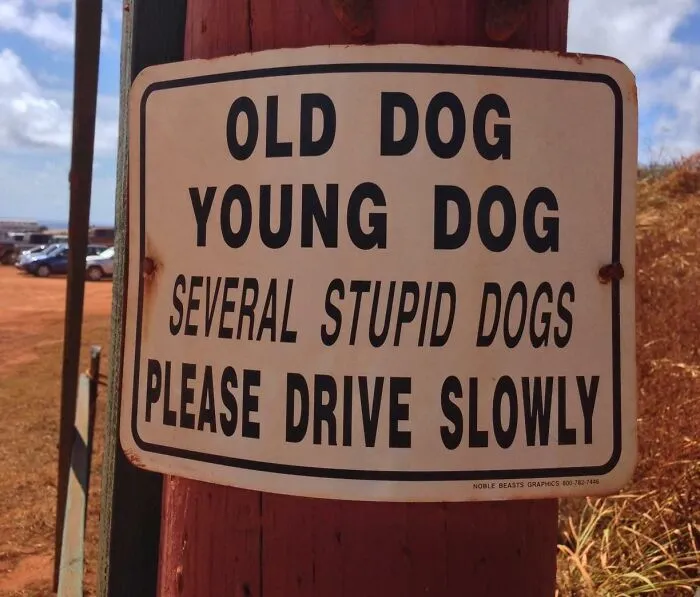 30 Hilarious Signs That Defy Logic And Common Sense