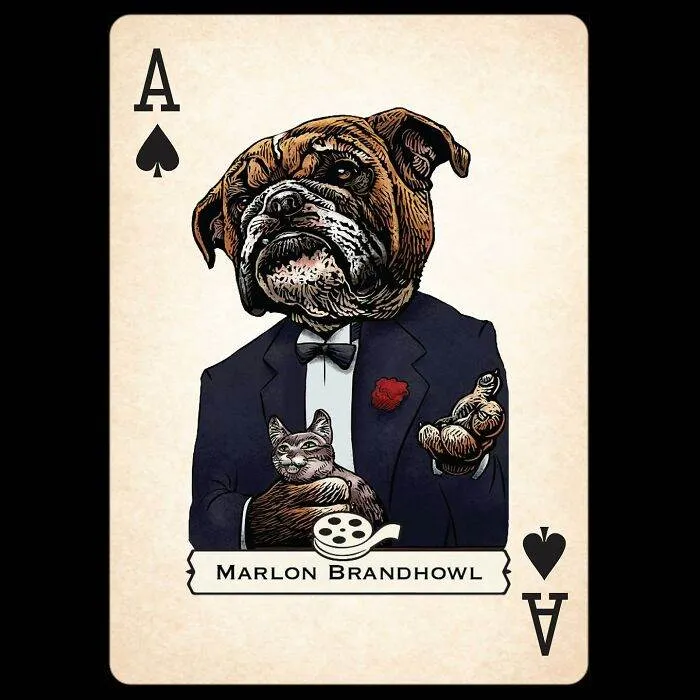 30 Pictures Of Playing Cards Reimagined As Cats And Dogs