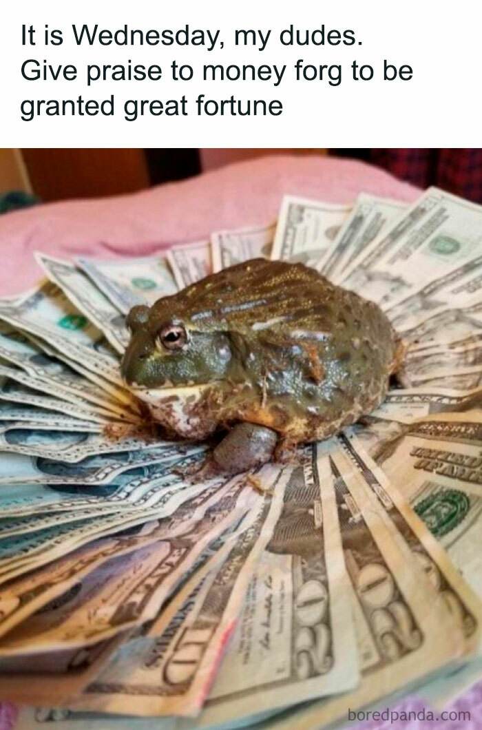 30 Hilarious Wednesday Memes