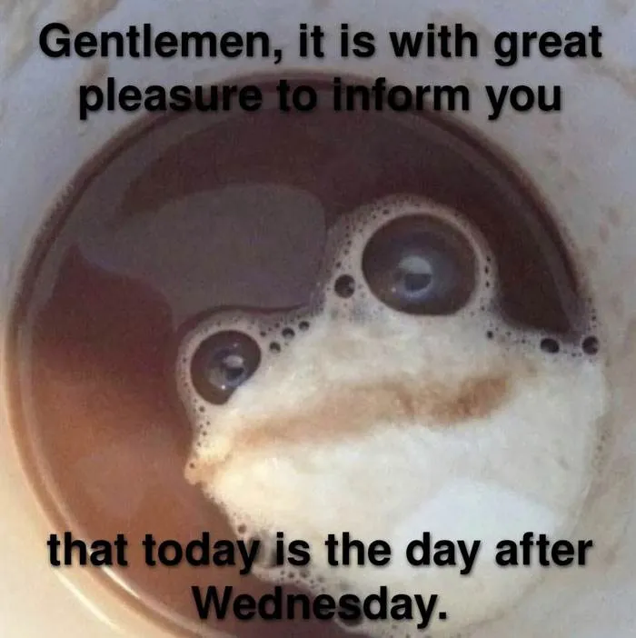 30 Hilarious Wednesday Memes