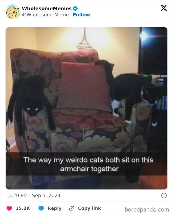 30 Uplifting Memes To Restore Your Faith In The World