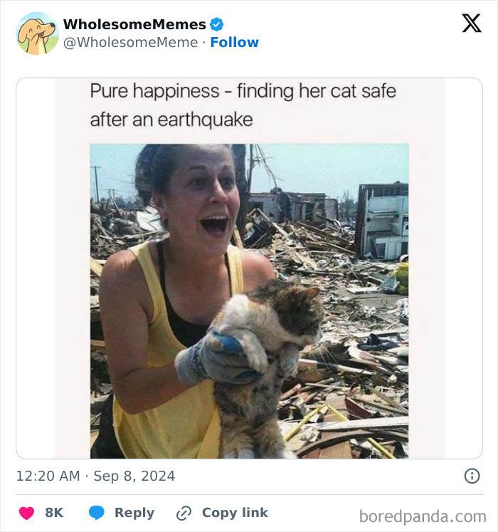 30 Uplifting Memes To Restore Your Faith In The World