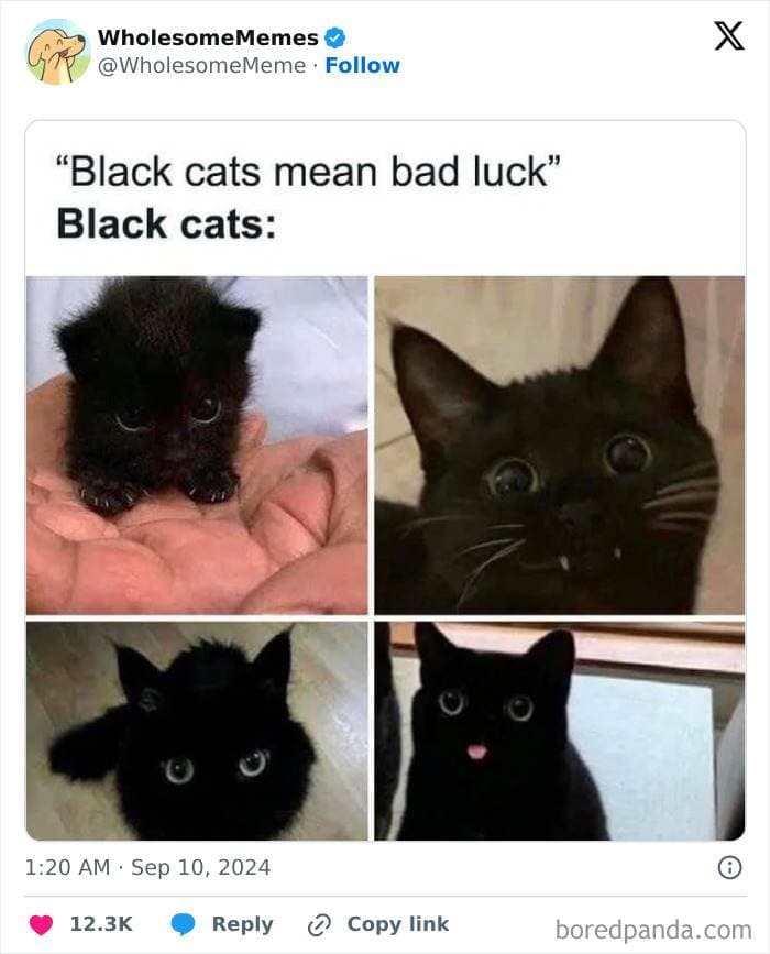 30 Uplifting Memes To Restore Your Faith In The World