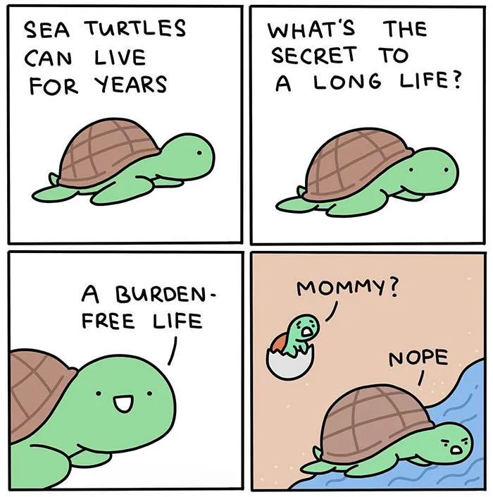 30 Hilarious Turtle Memes You Never Knew You Needed