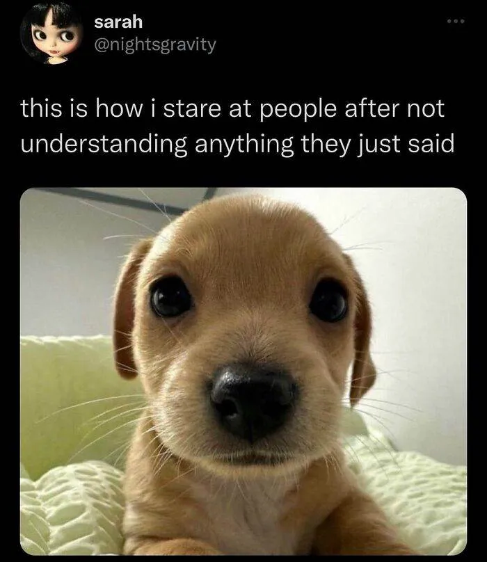 30 Memes That Capture Life's Ups And Downs For A Good Laugh