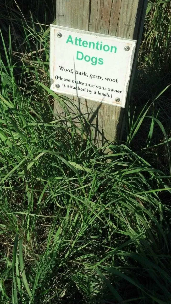 21 Funny Signs That Will Make You LMAO | The Funny Beaver