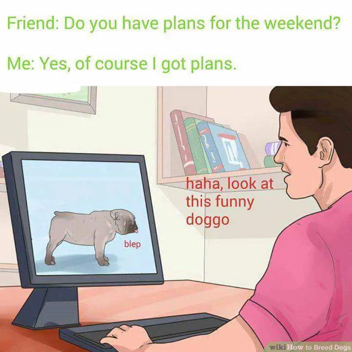 30 Random Memes That Are Too Funny To Categorise