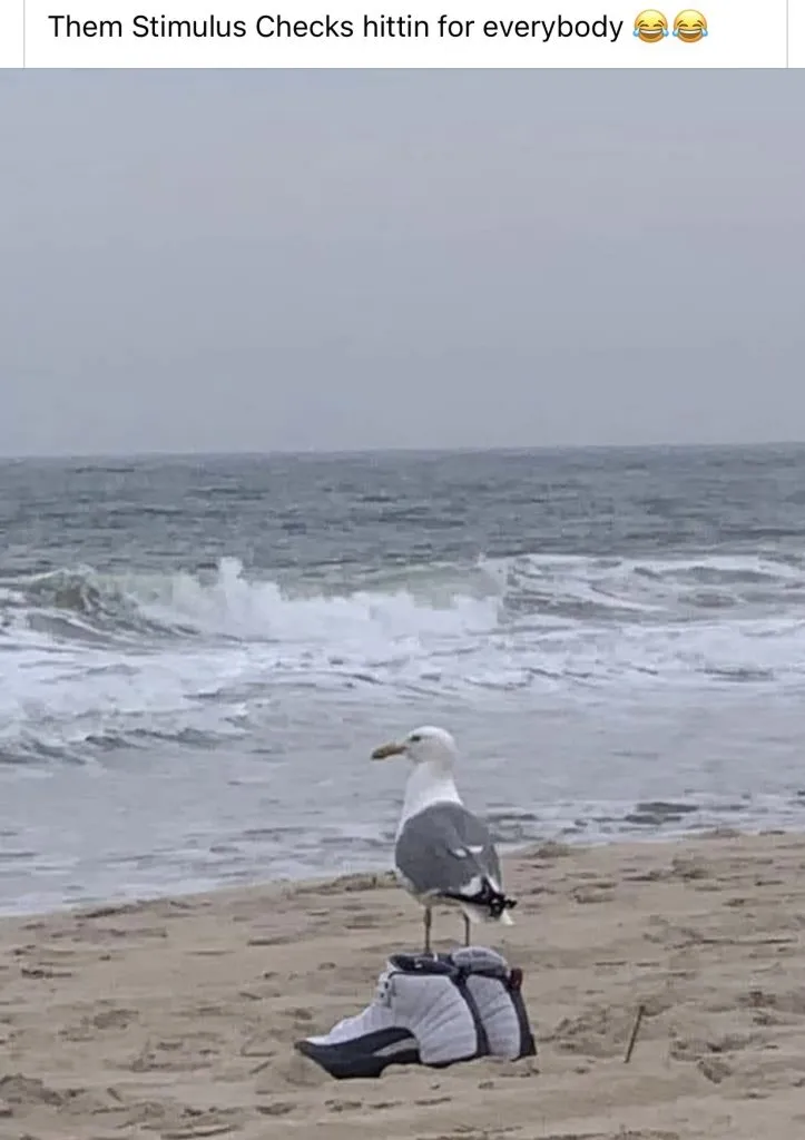 24 Funny Beach Memes Because It's That Time