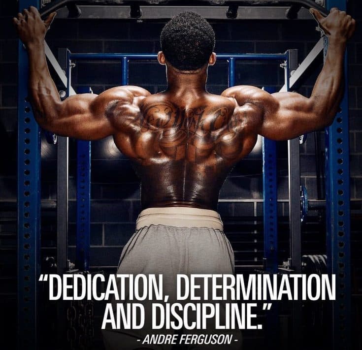 30 Inspirational Gym Quotes To Keep You Going30 Inspirational Gym ...