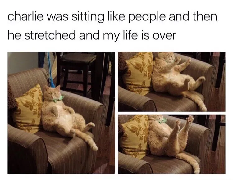 30 Exciting Funny Pictures For You To Laugh At