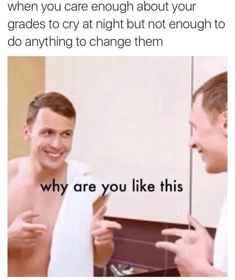 30 Random Memes That Are Too Funny To Categorise