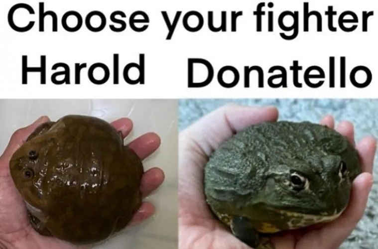 30 Terrific Memes To Laugh At During Your Free Time