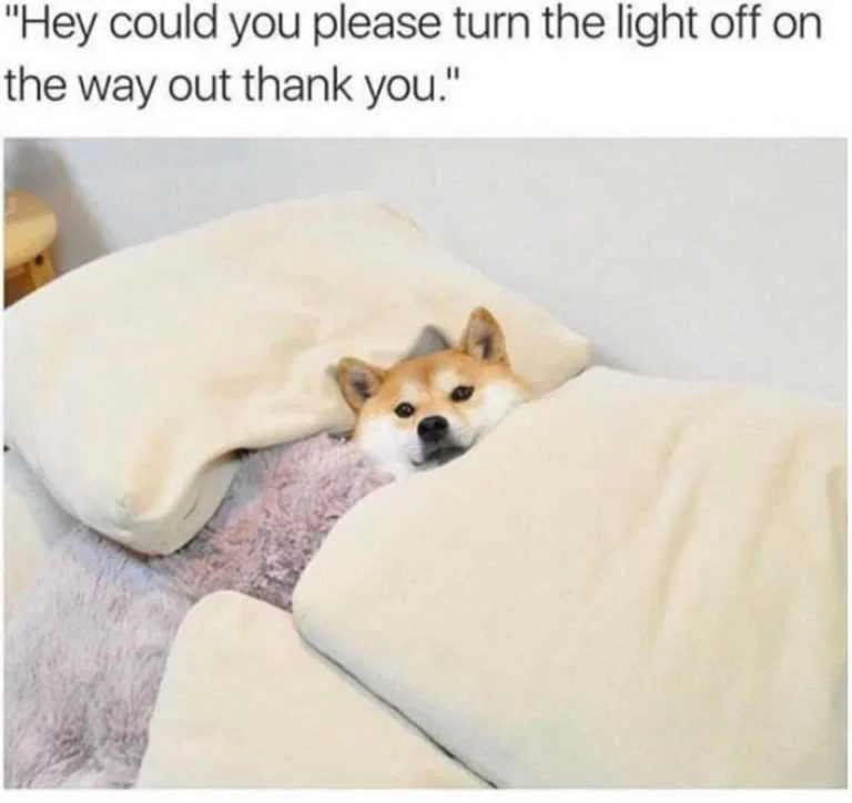 35 Memes You’ll Relate To If You’re Hella Lazy - Lazy Memes | The Funny ...