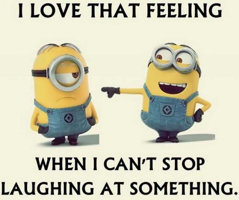 25 Hilarious New Minions Memes Funny Enough To LOL At