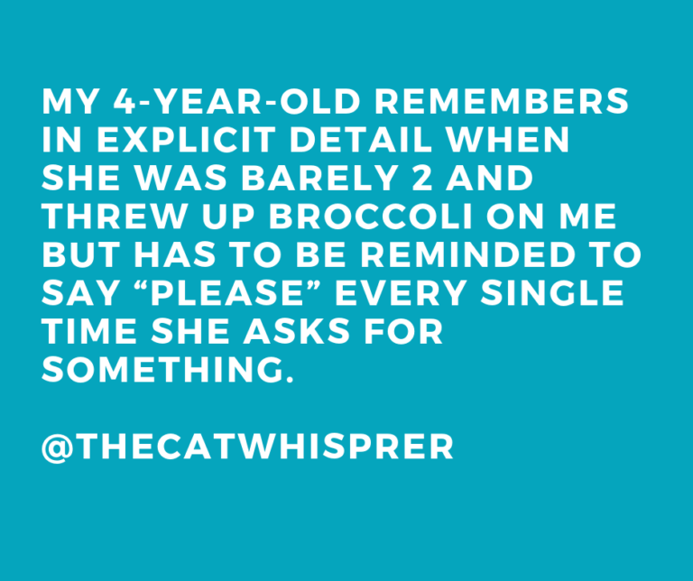 18 Funny And Hilarious Snappy Quotes For Us All