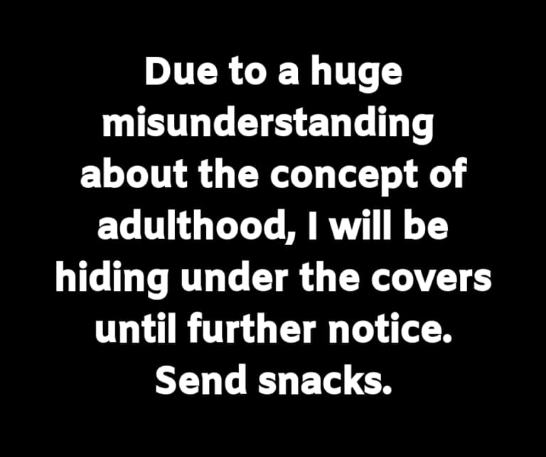 18 Funny And Hilarious Snappy Quotes For Us All
