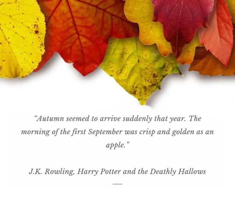 15 Lovely Quotes For Fall Lovers