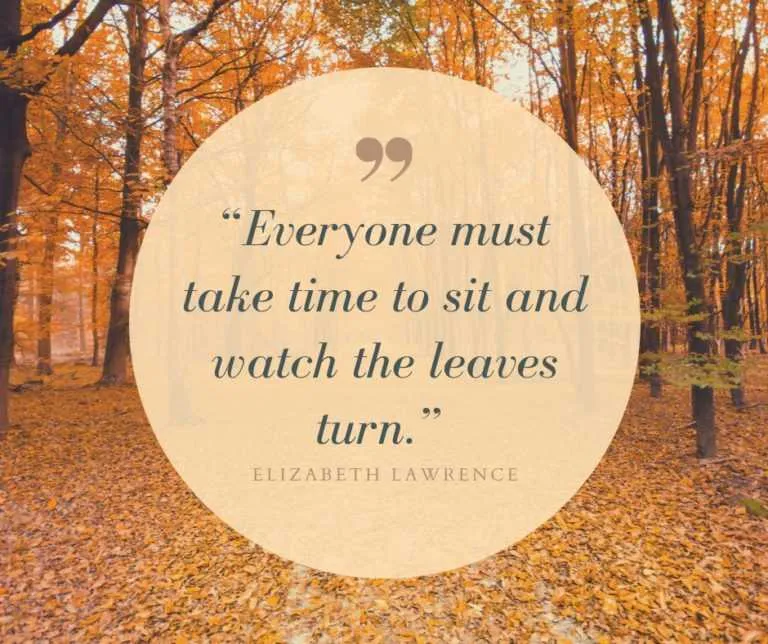 15 Lovely Quotes For Fall Lovers