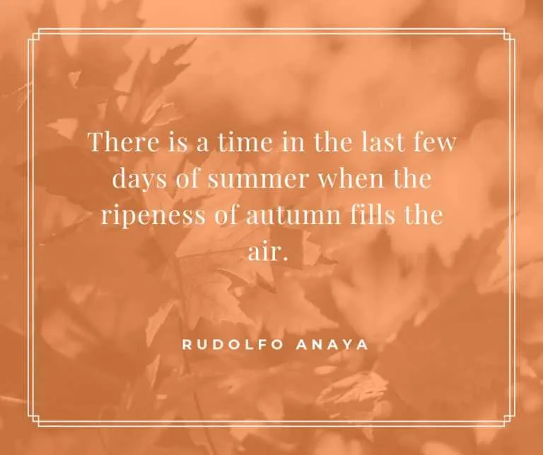 15 Lovely Quotes For Fall Lovers