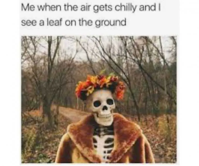 23 Autumn Equinox Memes You'll Fall In Love With