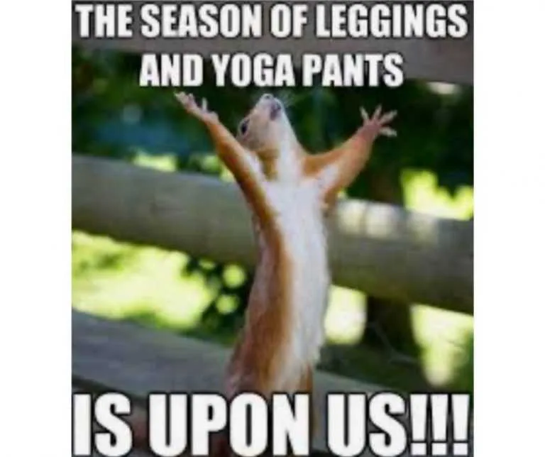 23 Autumn Equinox Memes You'll Fall In Love With