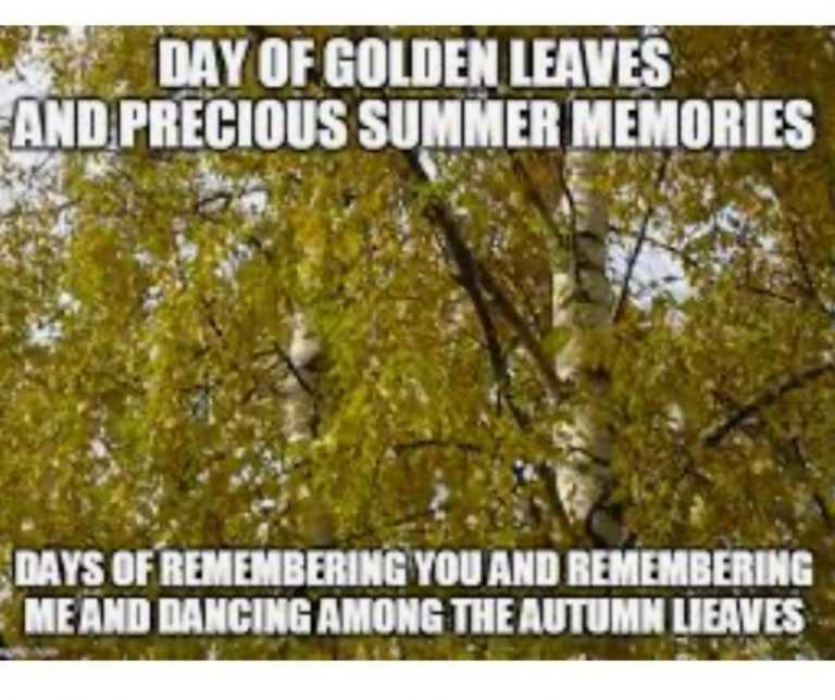 23 Autumn Equinox Memes You'll Fall In Love With
