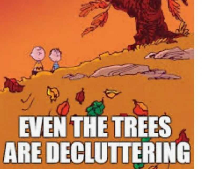 23 Autumn Equinox Memes You'll Fall In Love With