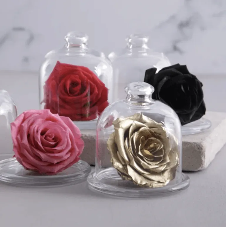The Best Valentines Day Gift On Amazon - A Real Preserved Rose
