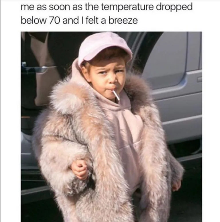 20 Hilarious Fashion Memes