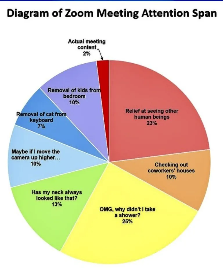 20 Hilarious Zoom Memes To Share With Peers