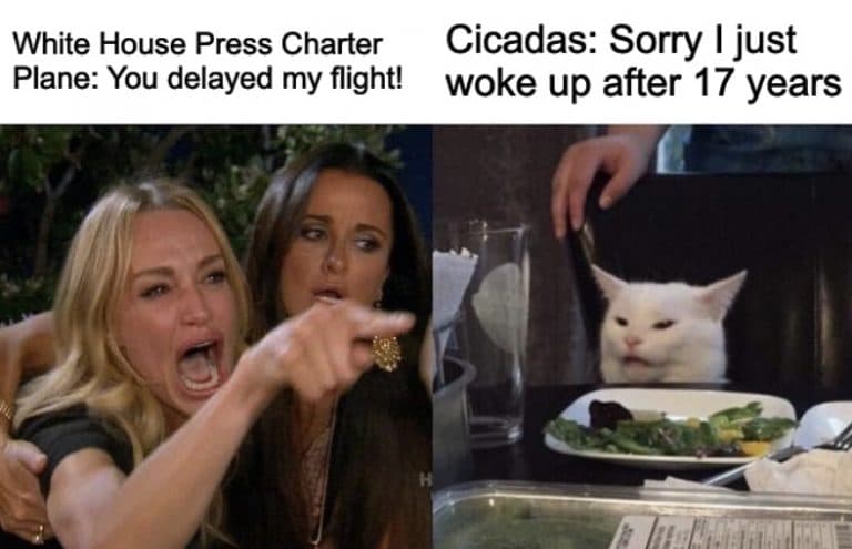 10 Funny Headline Memes For Hump Day