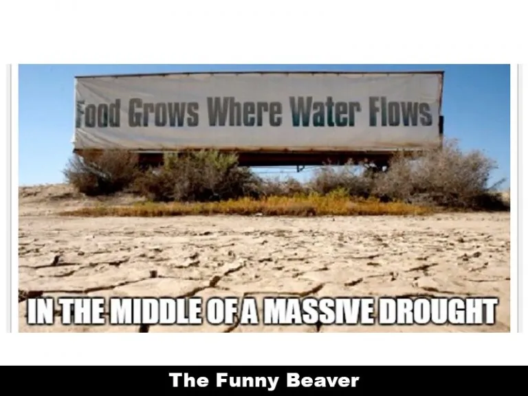 23 Funny Drought Memes That'll Water Your Crops
