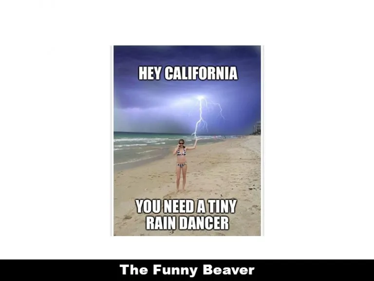 23 Funny Drought Memes That'll Water Your Crops